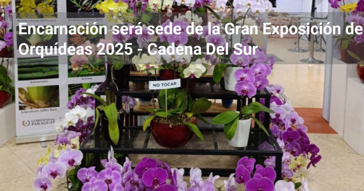 Encarnación será sede de la Gran Exposición de Orquídeas 2025 – Cadena ...