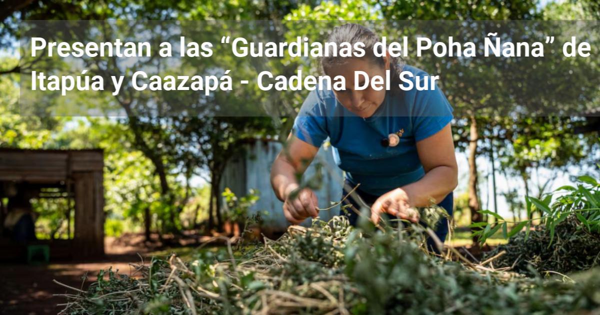 Presentan a las “Guardianas del Poha Ñana” de Itapúa y Caazapá – Cadena ...